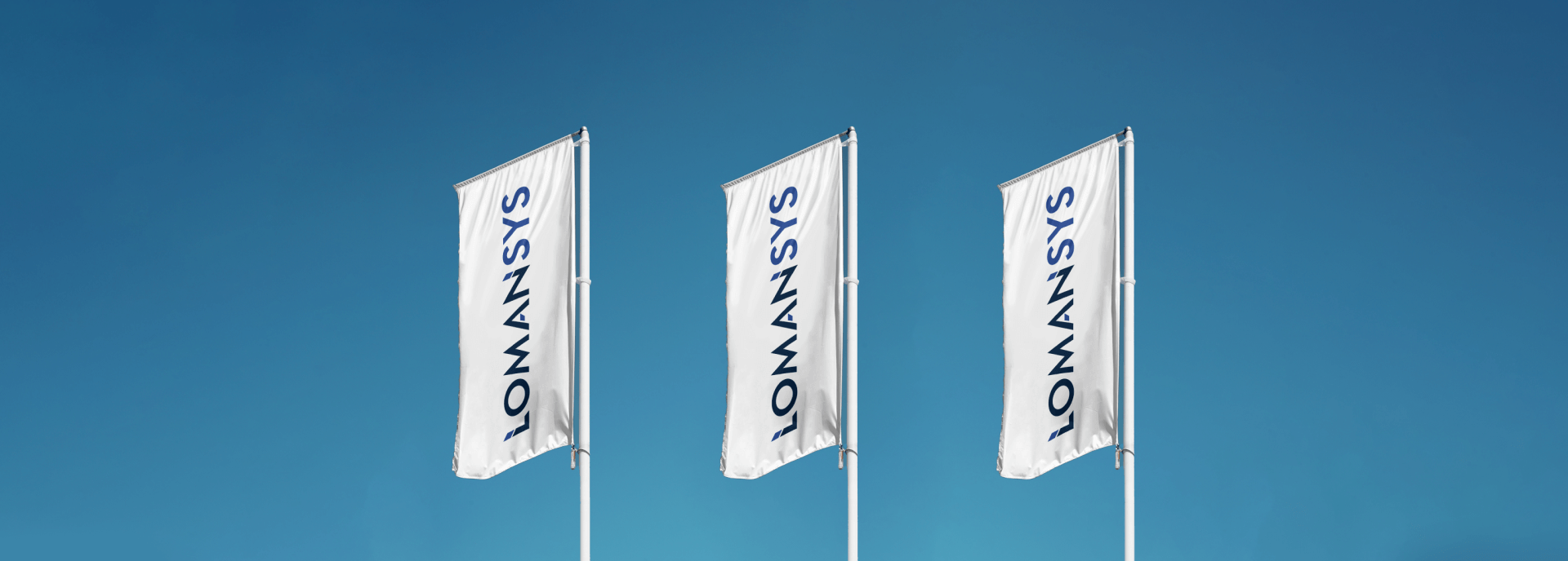 Lomansys | Recognized Expert in SAP SCM Area